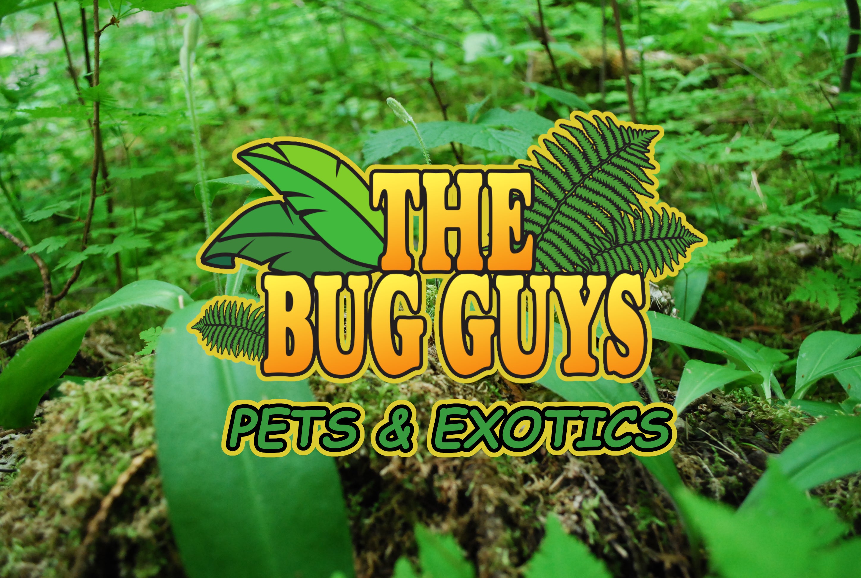 Home | Lake Country Pet The Bug Guys